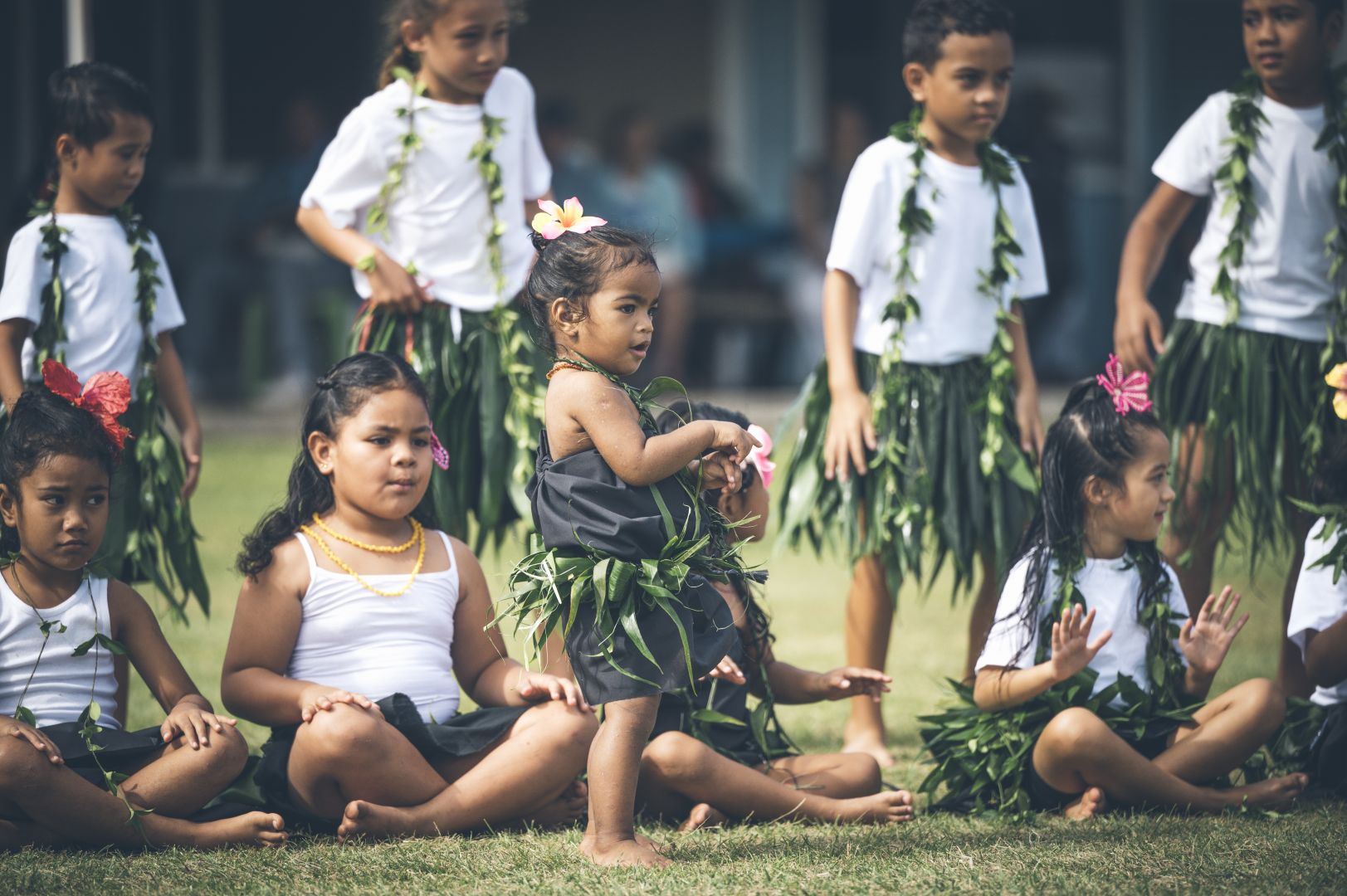 Art and Culture - Learn About Our Traditions | Niue Island