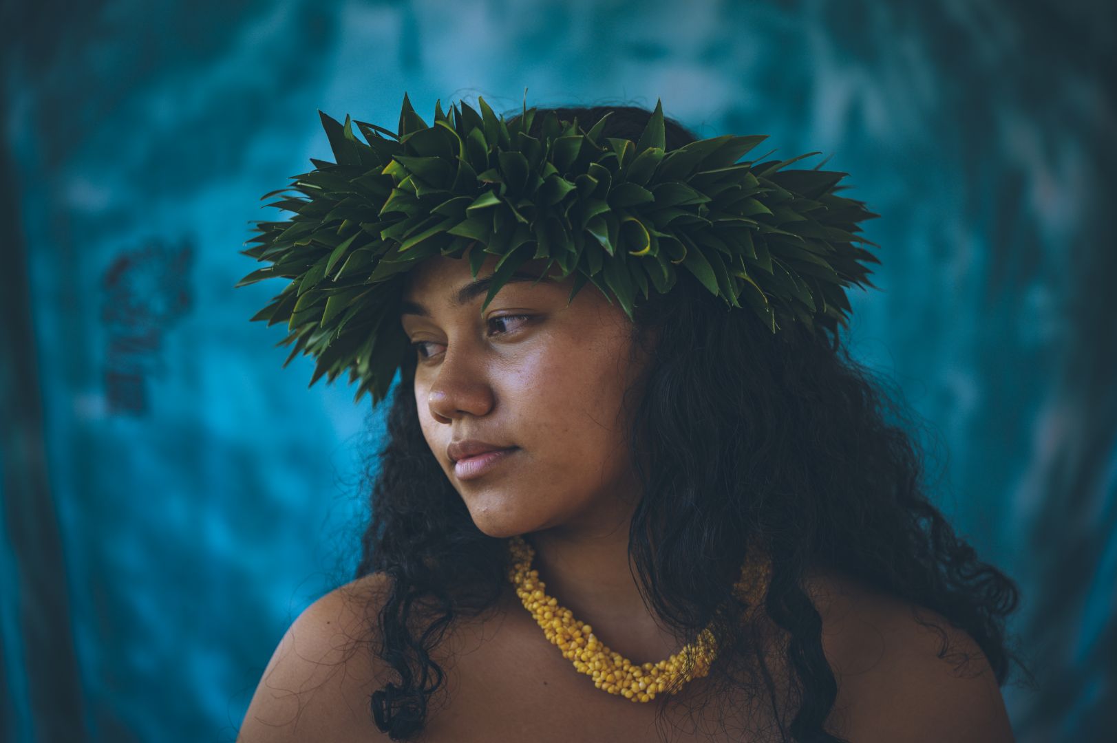 Travel Entry Requirements For Niue - Niue Island