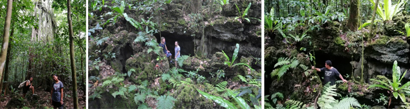 Niue Tours | Excursions | Activities